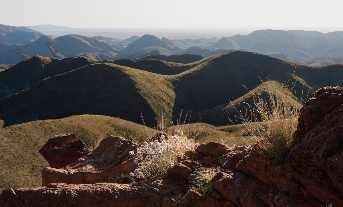 Philip & Odile's Adventures | SLRV Expedition Vehicles